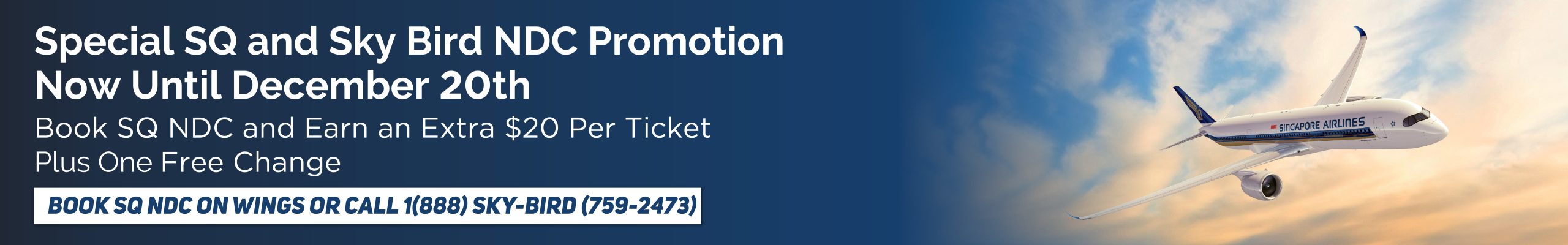 Sky Bird Travel - #1 Airline Consolidator to Book Airfare